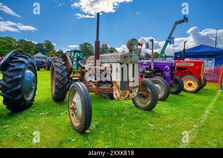 Vintage tractors, The Perth Show 2024 Stock Photo - Alamy