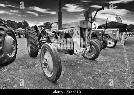 Vintage tractors, The Perth Show 2024 Stock Photo - Alamy