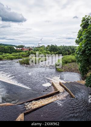 A fish pass on the River Tyne in Hexham, which has helped tens of ...