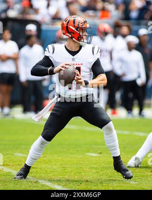 Cincinnati Bengals' quarterback Logan Woodside throws a pass during NFL ...