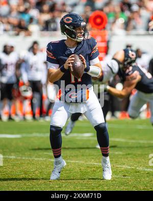 Cincinnati Bengals quarterback Brett Rypien warms up before an NFL ...