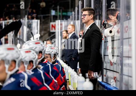 Jochen Hecht (Co-Trainer, Nuernberg Ice Tigers). GER, Augsburger ...