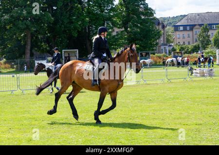 The Perth Show 2024 Stock Photo - Alamy