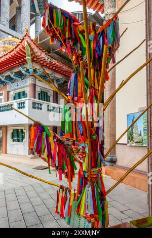 Coloured ribbons, each one representing a prayer on a prayer tree in ...