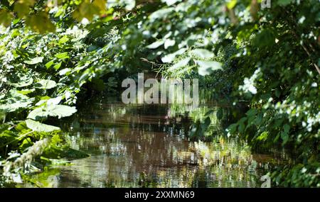 Scottish Almondvale Country Park Stock Photo - Alamy