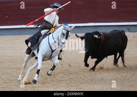 The rejoneador Sergio Domínguez fights the bull during a corrida de ...