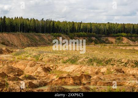 Landscape of an overgrown sand quarry after mining Stock Photo - Alamy