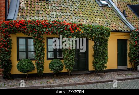 Greenery house at Jacob Nielsgatan street on Gamla Vaster in Malmo ...