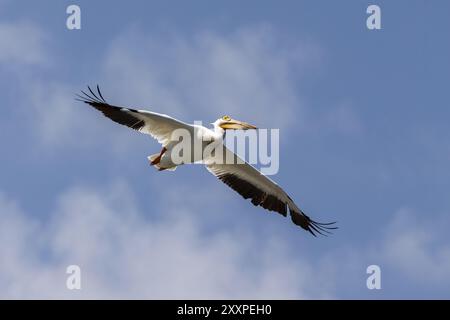 Nature scene from Wisconsin Stock Photo - Alamy