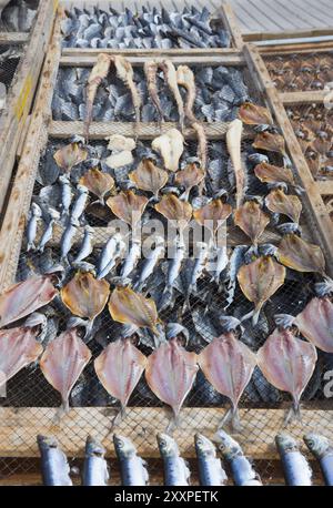 Fish drying, Praia da Nazare beach, Nazare, Oeste, Leiria district ...