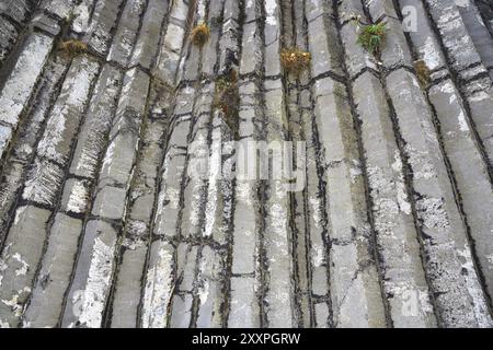 Basalt rock. Detail, geological. Zlaty vrch. The Goldberg in North ...