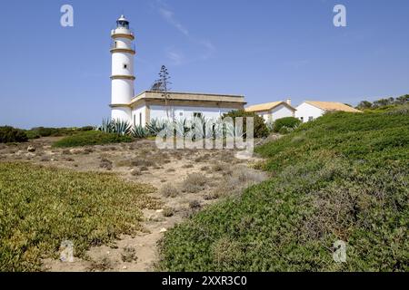 faro de Cap Salines, estacion de investigacion costanera, IMEDEA ...