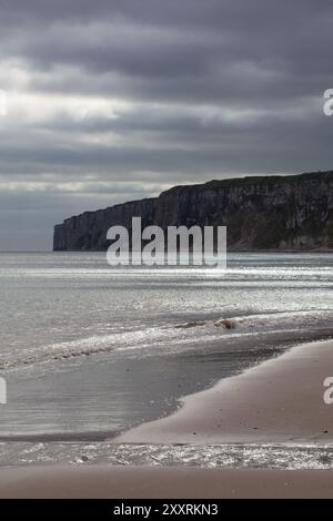 A view of Bempton Cliffs from Reighton Sands in North Yorkshire Stock ...