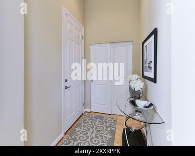 Modern residential front entrance interior Stock Photo - Alamy