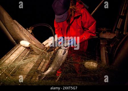 The founder of Loki Fish, Inc., lays out his net aboard the salmon ...