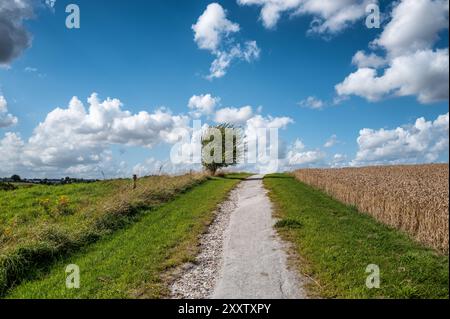 Fields around the city of Hedensted in Jutland, Denmark Stock Photo - Alamy