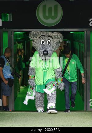 Wolfsburg, Deutschland. 25th Aug, 2024. Cedric Zesiger (VfL Wolfsburg ...