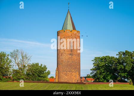 The Goose tower, a historical landmark in town of Vordingborg in ...