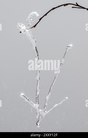 Closeup shot of a crystal figure on a water surface making circle waves ...