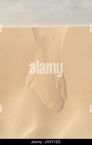 Fine texture and lines of sandy dunes in a desert Stock Photo - Alamy