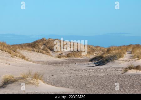 Drifting sand dune, Råbjerg Mile, Skagen, Denmark, July 2009 Stock ...