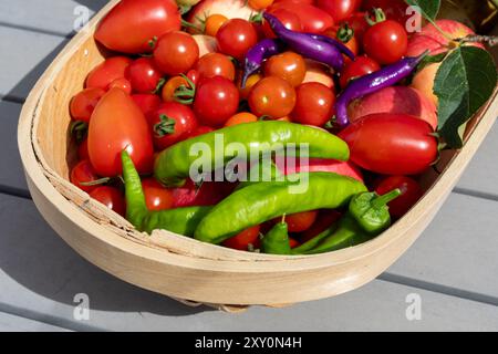 Selection of home grown fruit and vegetables freshly picked and placed ...