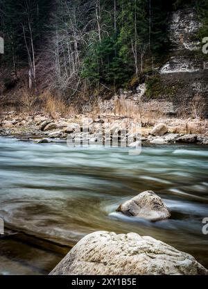 A beautiful view of river flowing in the forest Stock Photo - Alamy