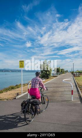 Female cyclist cycling the Napier to Cape Kidnappers cycle trail, North ...