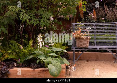 A raised border of ferns, hosta and Acer griseum next to a metal bench ...