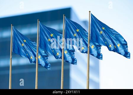 Flags of European Union near building outdoors Stock Photo - Alamy