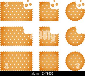 Set of bitten crackers. Sweet or salty biscuit cookies in round, square ...
