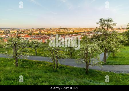 Aerial view of Prague with flowering trees, Czech Republic Stock Photo ...