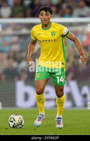 Ben Chrisene of Norwich City on the ball during the Sky Bet ...