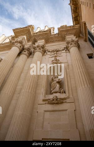 Lecce, Italy. 20th Aug, 2024. Monumental Specimen of ''Ficus ...
