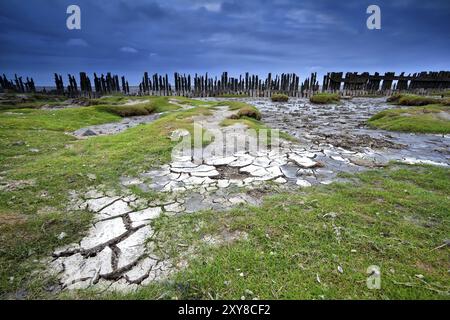 Textures dry sea bottom and old dike at low tide, tidal marsh along the ...