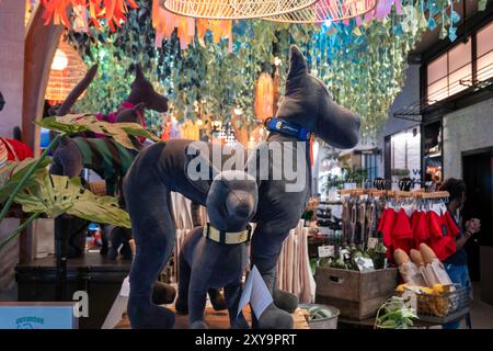 The Petco in Union Square offers a full range of pet supplies, New York ...