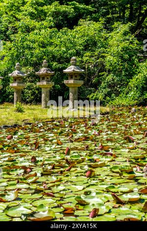 Path with pond in Gesshoji Temple, also called The temple of Moonlight ...