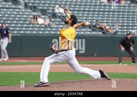 Salt Lake UT, USA. 13th July, 2024. Salt Lake pitcher Luis Ledo (43 ...