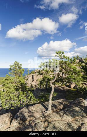 Landscape by the Gulf of Bothnia in Skuleskogen National Park, Hoega ...