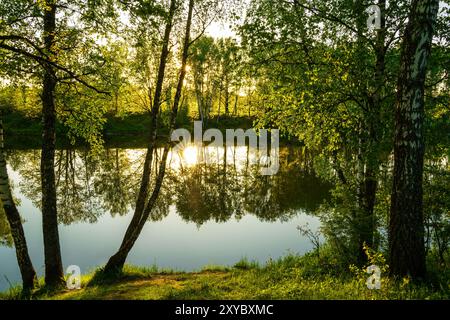 Sunrise near a pond with birches on the shore and fog over the water on ...