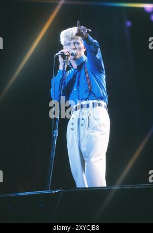 Rock musician performing at concert Stock Photo - Alamy