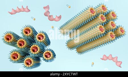 A 3d rendering of inverse hexagonal HIIc phase consists of DNA rods ...