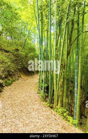 A beautiful shot of buildings in forested mountains by a lake Stock ...