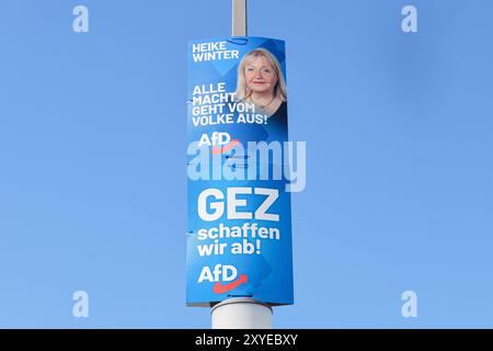 Ein Wahlplakat der Partei AFD Alternative für Deutschland für die ...