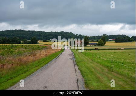 Pasture landscape with colorful grasses at the Danish countryside ...