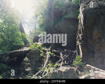 Processed with VSCO with g3 preset Stock Photo - Alamy