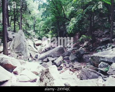 Processed with VSCO with f2 preset Stock Photo - Alamy