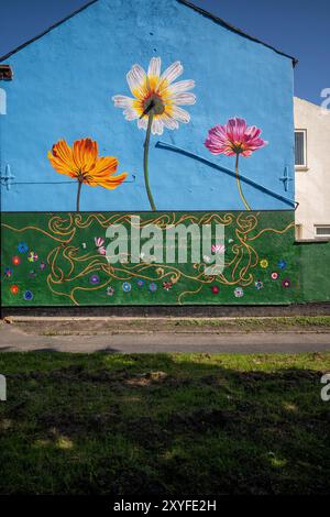 Kirkdale, Liverpool, UK, Flower Street Project 29th August 2024. The ...
