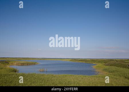 Nissum Fjord at Thorsminde on the West coast of Denmark Stock Photo - Alamy