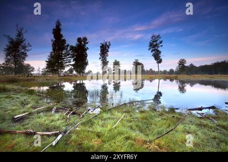 sunrise over little wild lake, Drents-Friese wold, Netherlands Stock ...